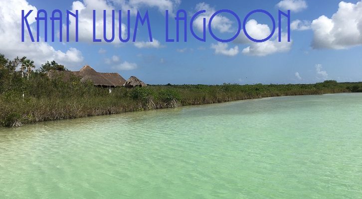 Discover the hidden treasure of Tulum- Kaan Luum Lagoon - Everything ...