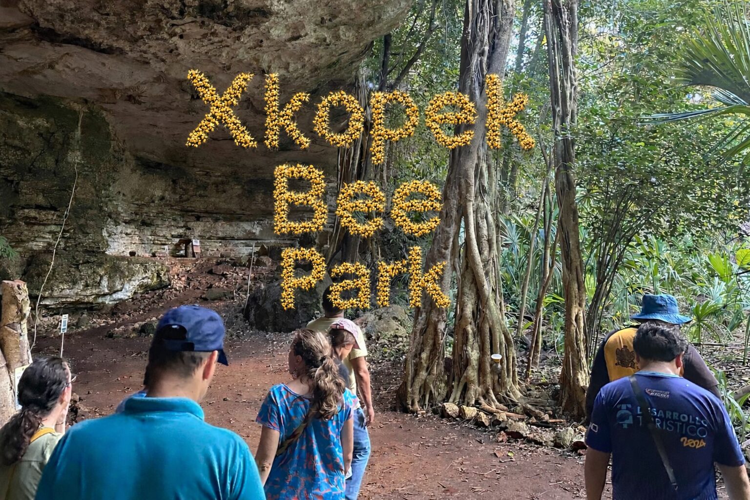 Xkopek Bee Park in Valladolid: Learn Everything in One Tour!